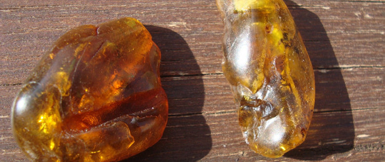 Baltasis fosforas: būkite atsargūs rinkdami gintarą | Naujienos